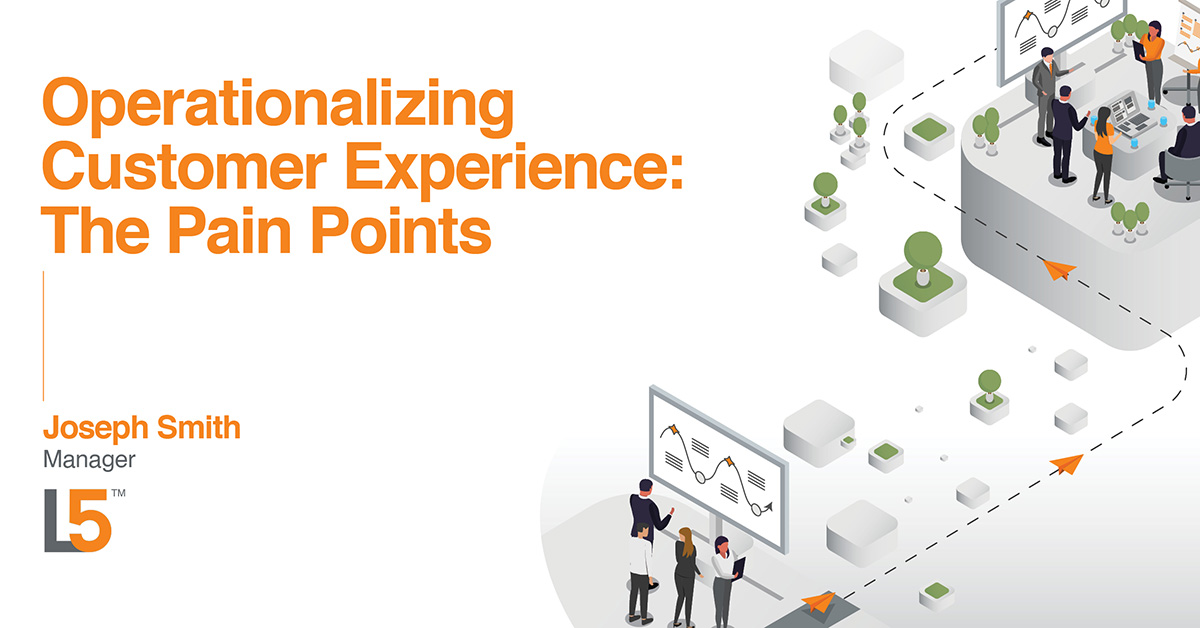 Operationalizing Customer Experience: The Pain Points - Level5 Strategy