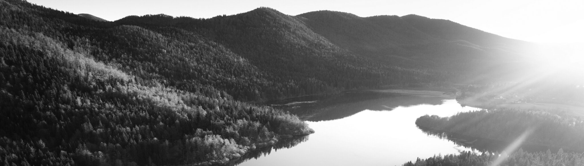 Our Team | Strategy Consulting Team – Level5 Strategy