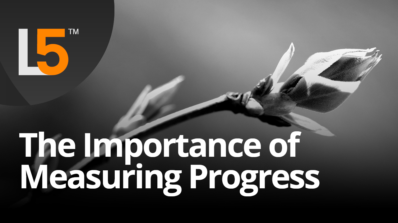 The Importance of Measuring Progress in Strategic Planning - Level5 ...